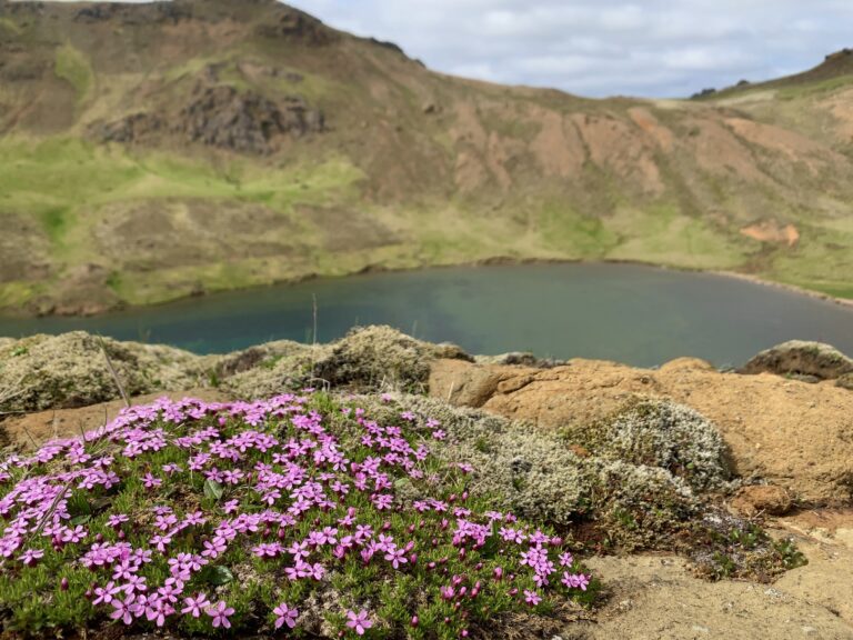 こちらアイスランド（147）夏が終わってしまった。あのキラキラの、至福の空気感を返して！〜小倉悠加│SAMEJIMA TIMES